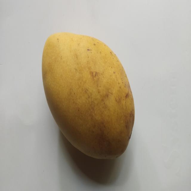 Mango Dataset (mango-dataset-evdpp) - Roboflow Universe