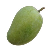 Mango Dataset (mango-dataset-evdpp) - Roboflow Universe