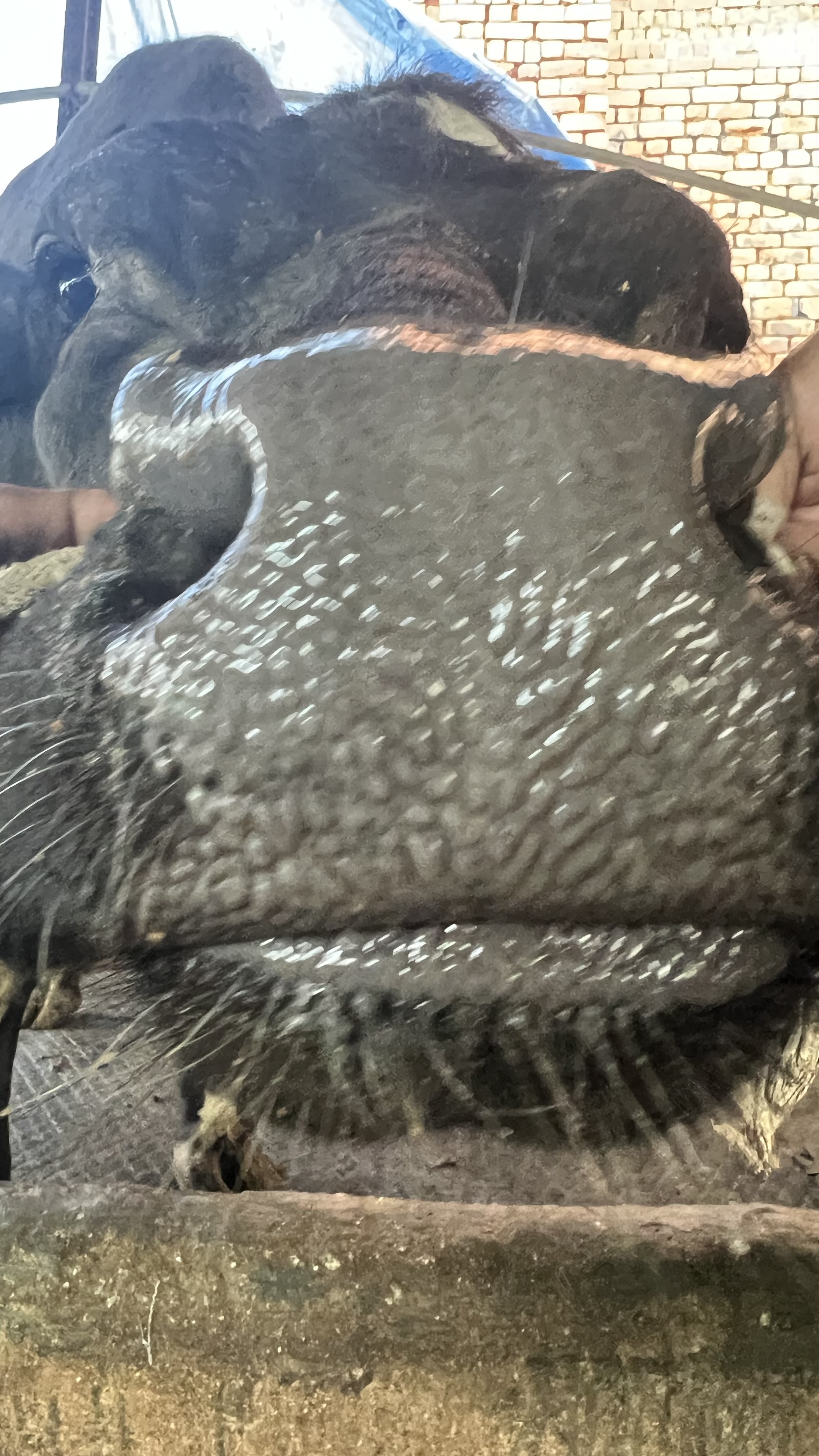 cv (cv-kwlmb) - Roboflow Universe