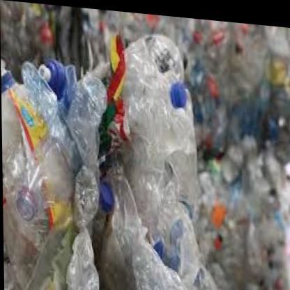 Waste-classifier-By-Raza Classification Dataset and Pre-Trained Model ...