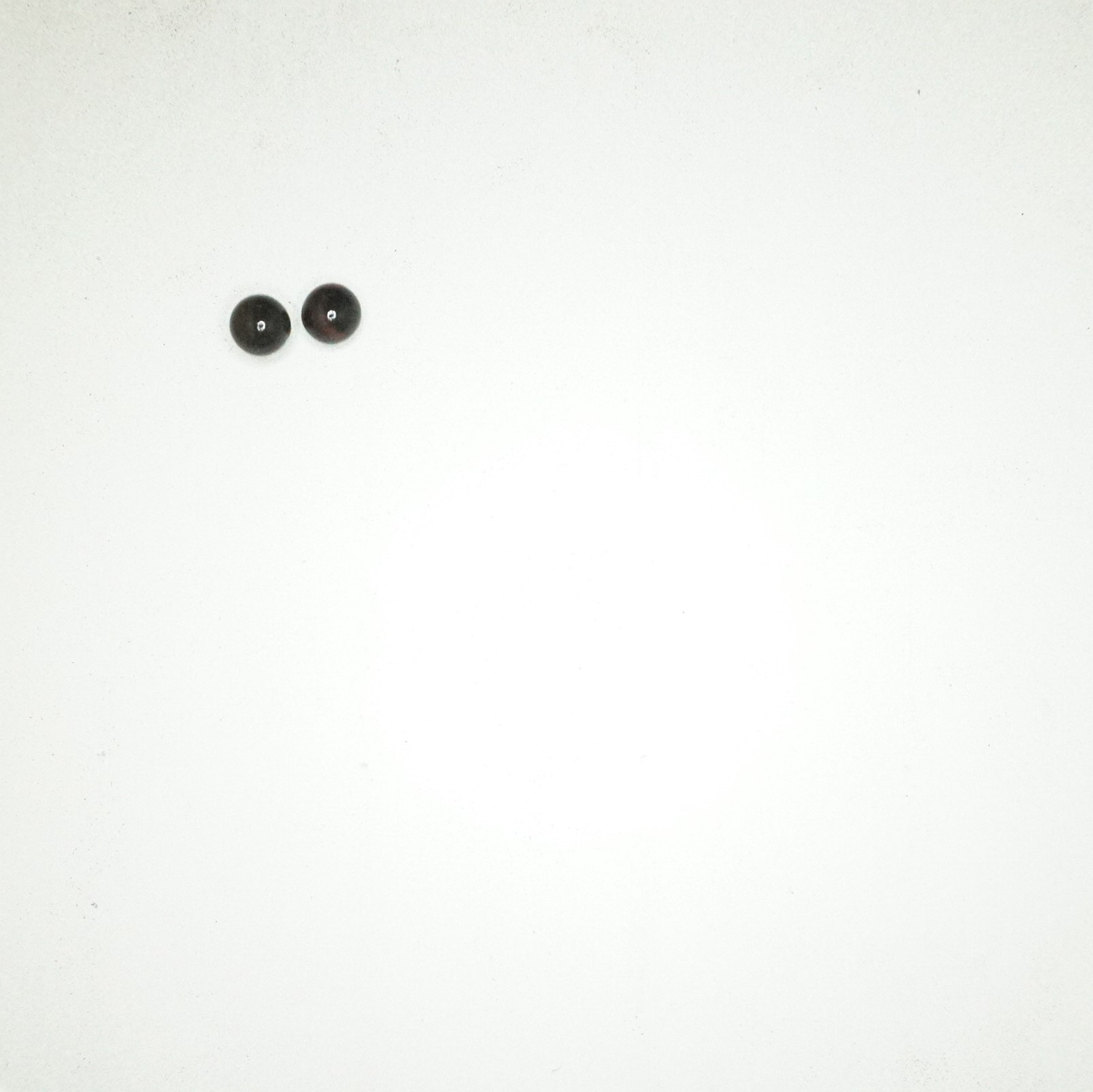 Dataset Object Detection Dataset And Pre Trained Model By Circle Detection