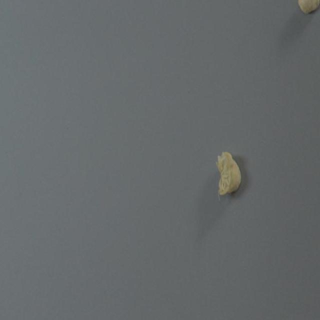 Kernel Augmented Object Detection Dataset by Adriana Casadei