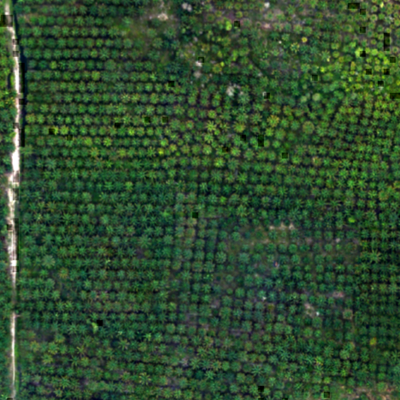 Image segmentation Semantic Segmentation Dataset and Pre-Trained Model ...