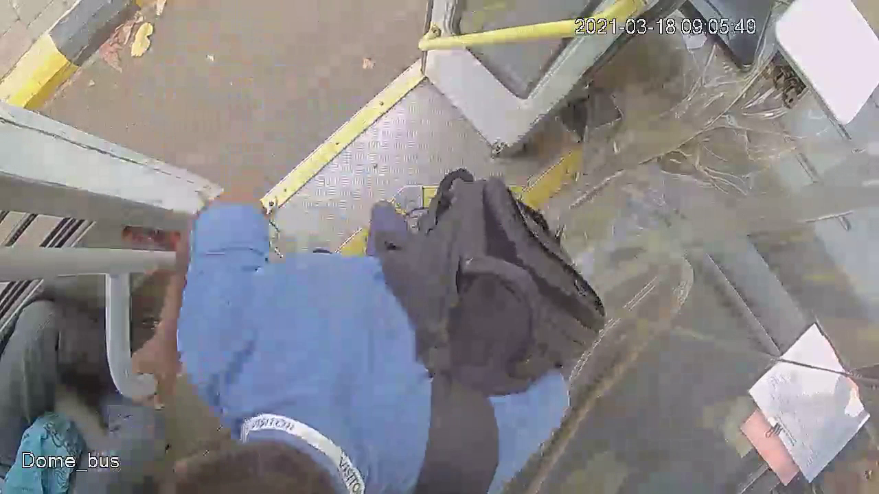 COUNTING OF OBJECTS Object Detection Dataset and Pre-Trained Model by new-workspace-3zhwg