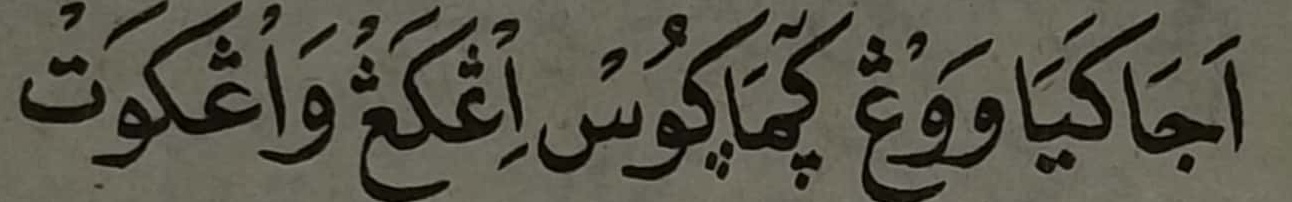 Arabic Word Detection Object Detection Dataset And Pre Trained Model By Belajar