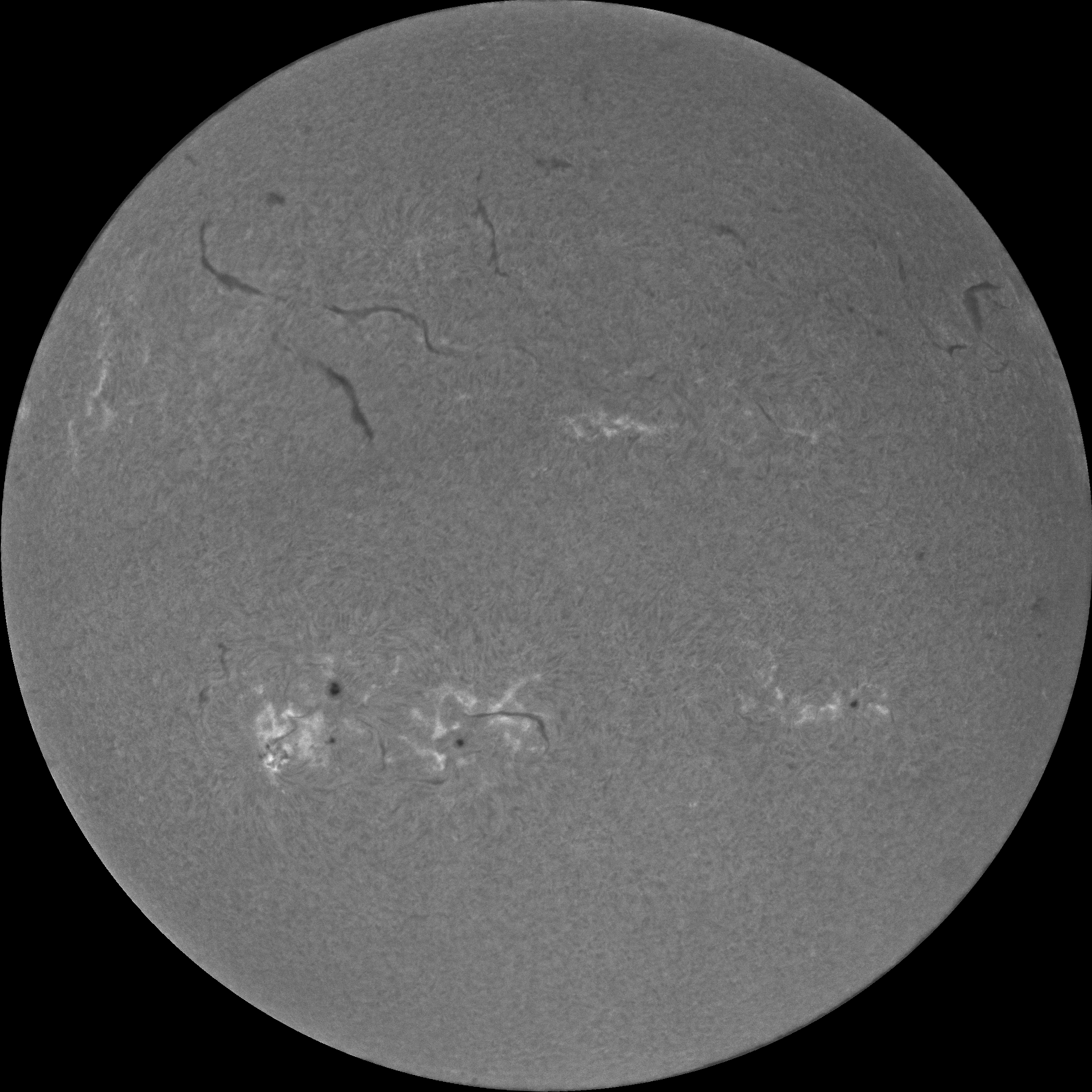 Detection Object Detection Dataset By Irisalt