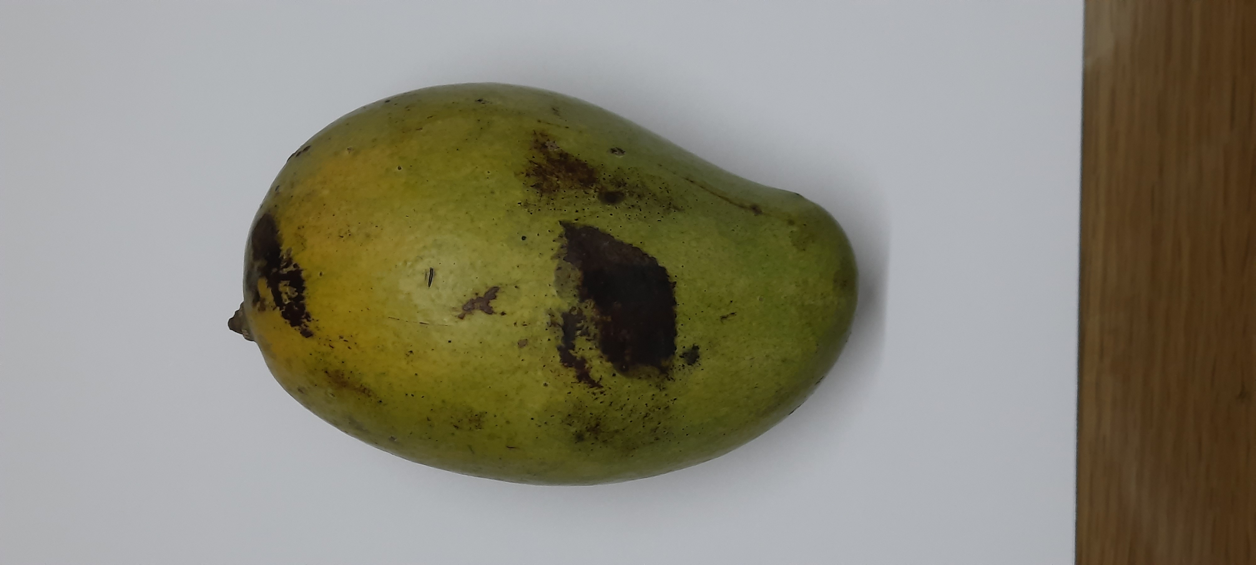 Test Mango Dataset Object Detection Dataset By Ewu