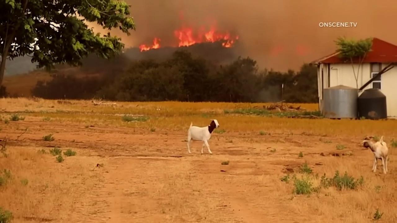 Wildfire Detection with Bounding Boxes Object Detection Dataset by Mine Wildfire Detection with Bounding Boxes Object Detection Dataset by Mine