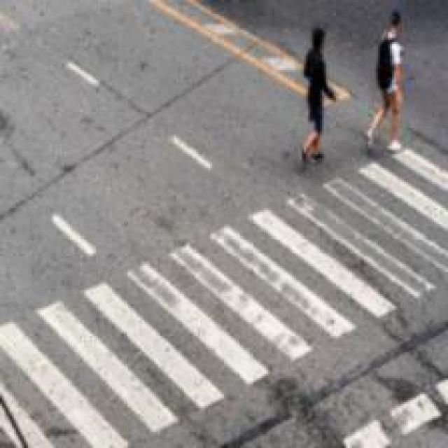Crosswalk Dataset And Pre Trained Model By Ryu