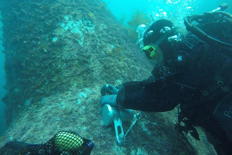 Underwater Object Detection Object Detection Dataset And Pre Trained
