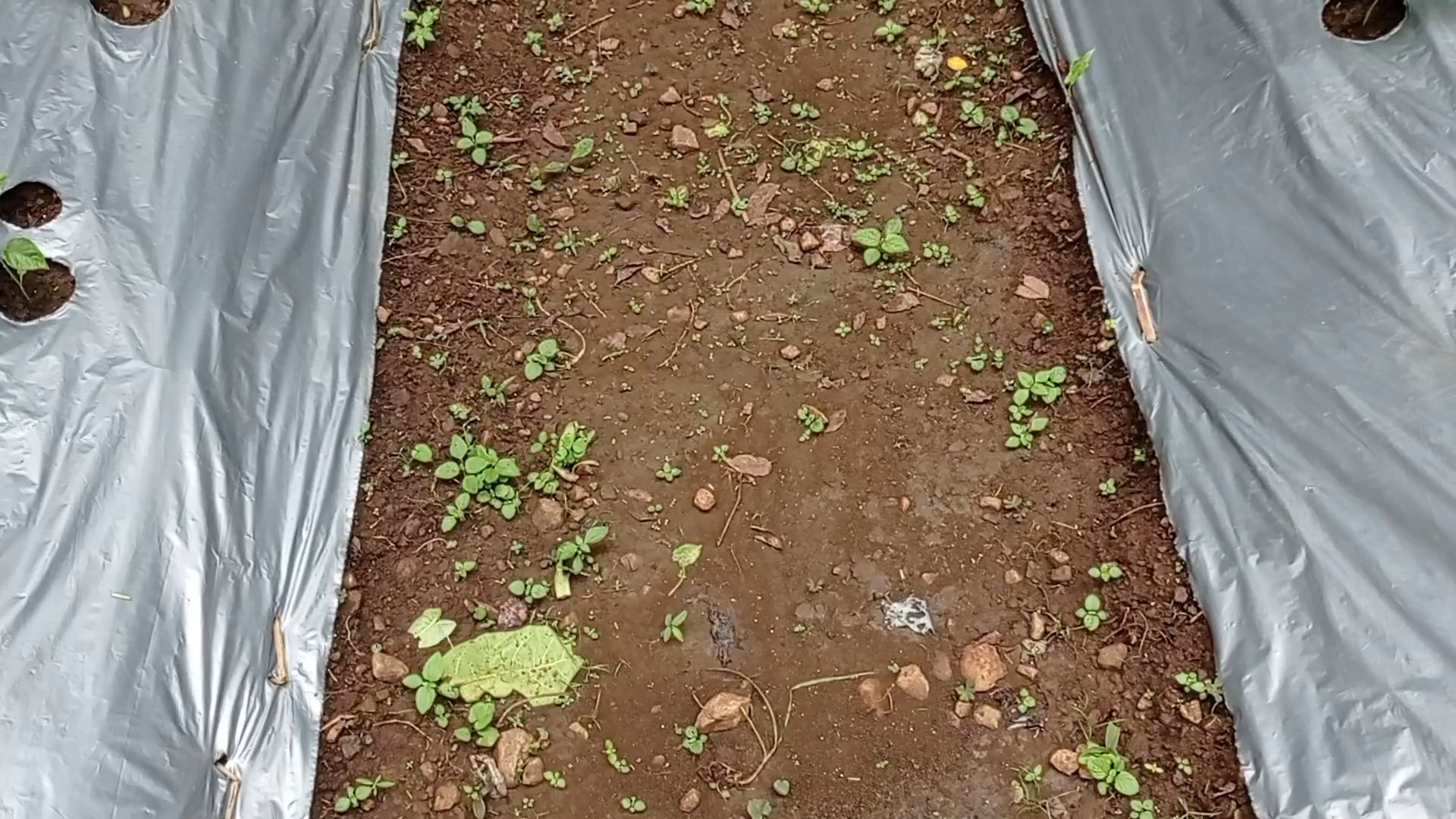 TArobotsemprot - Roboflow Universe