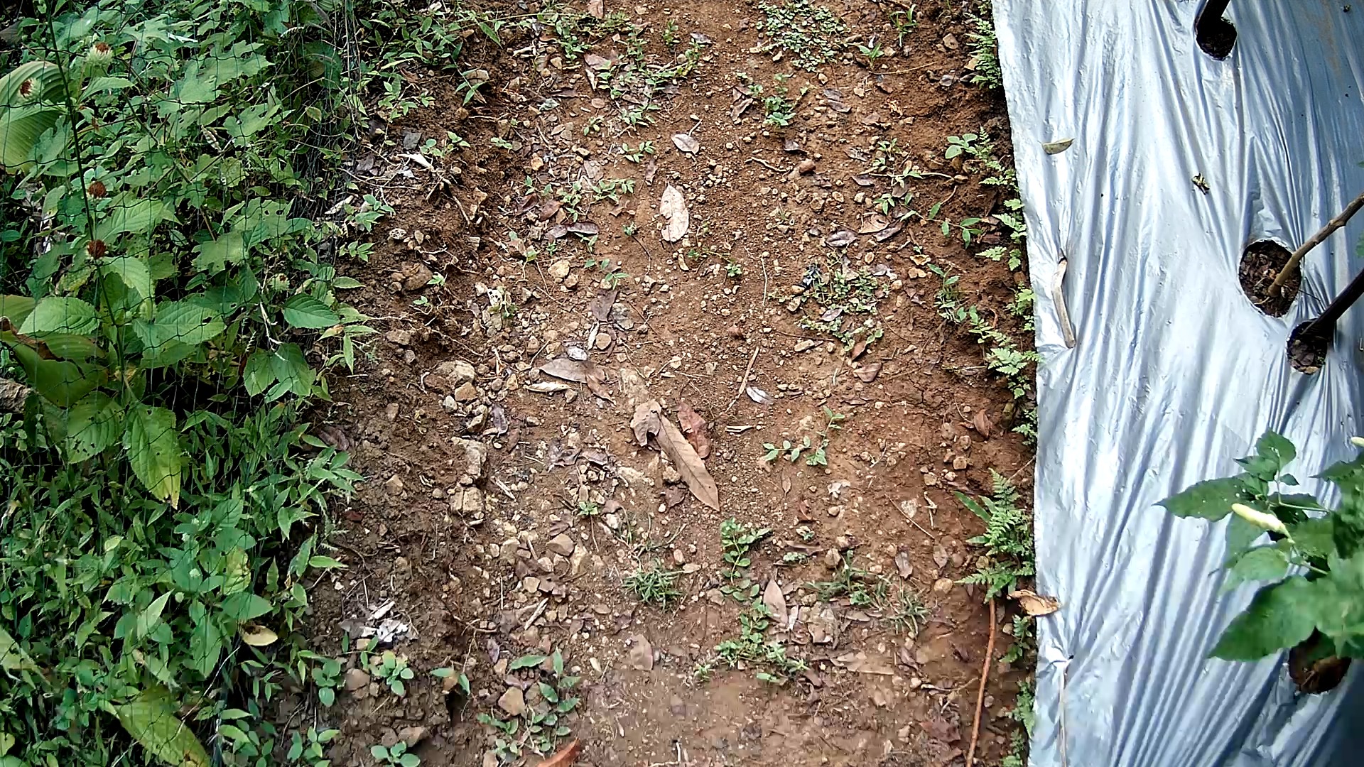 navigasi robot semprot 4-tambahclass Instance Segmentation Model by TArobotsemprot