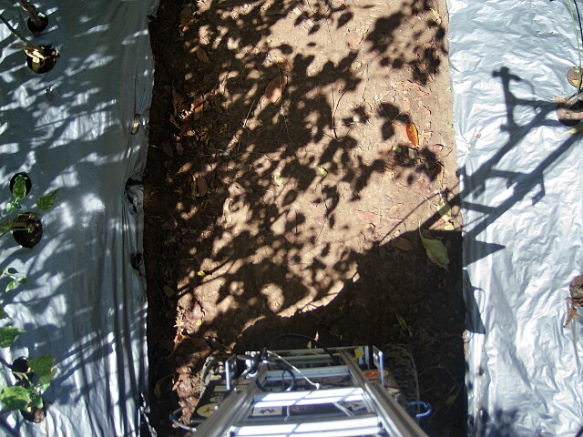 Navigasi Robot Semprotv8 Instance Segmentation Dataset And Pre Trained Model By Tarobotsemprot