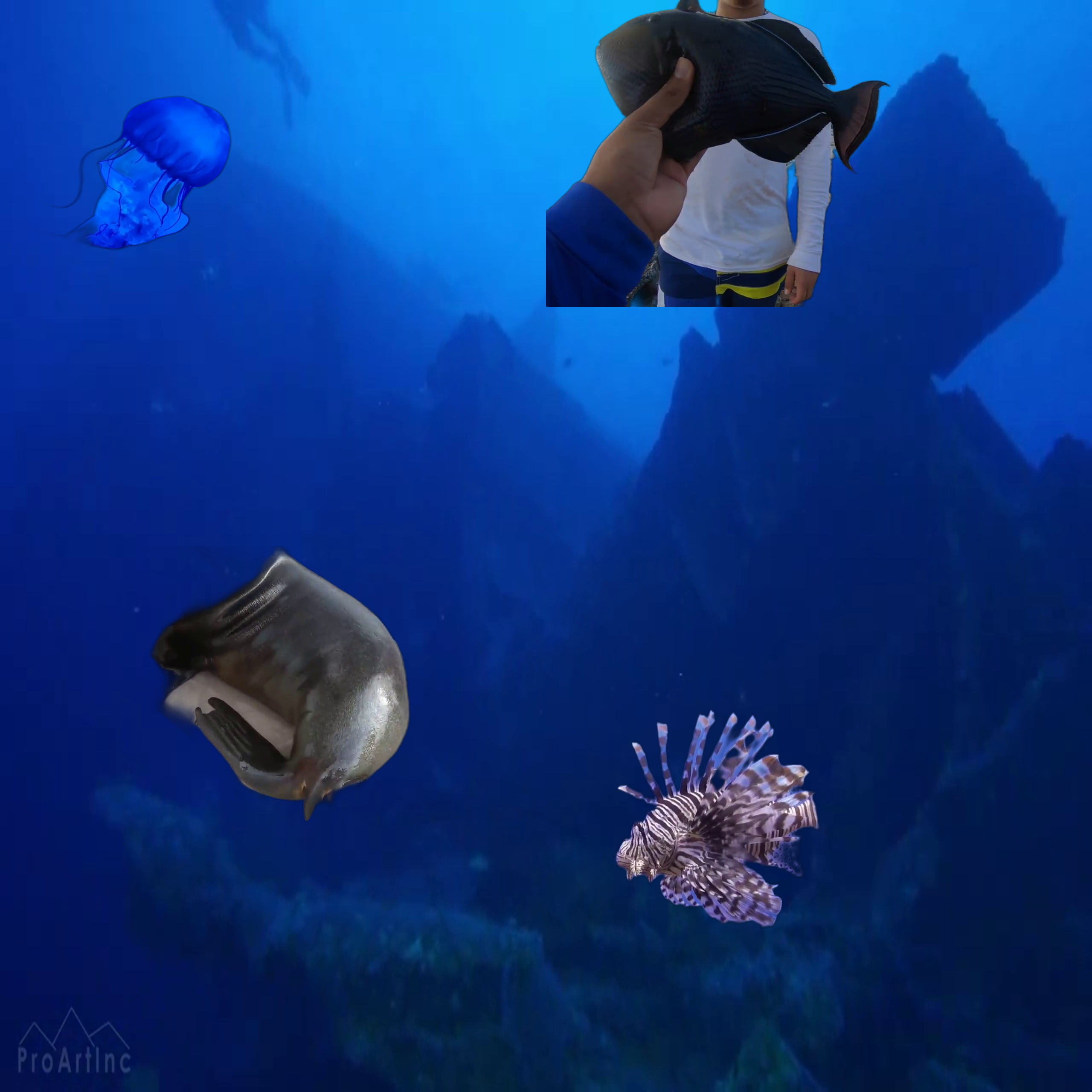 Seami Fish Detection Object Detection Dataset by School