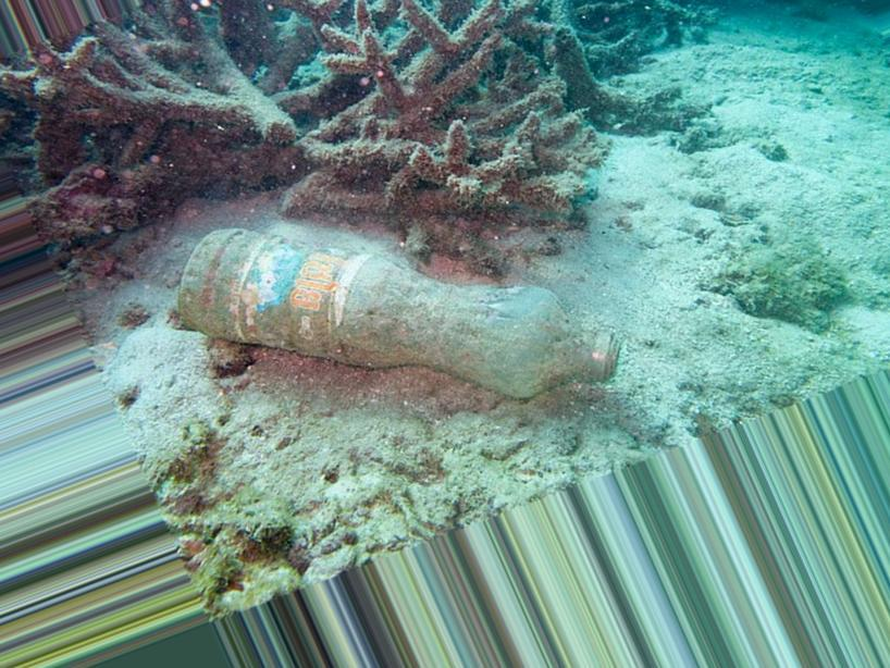 octa Instance Segmentation Dataset by School