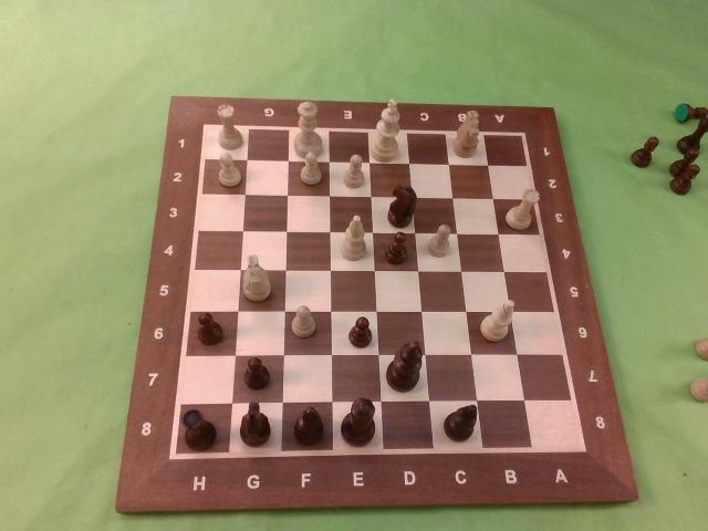 chess_action Classification Dataset by Ganyu