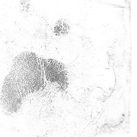 dog biometrics - Roboflow Universe