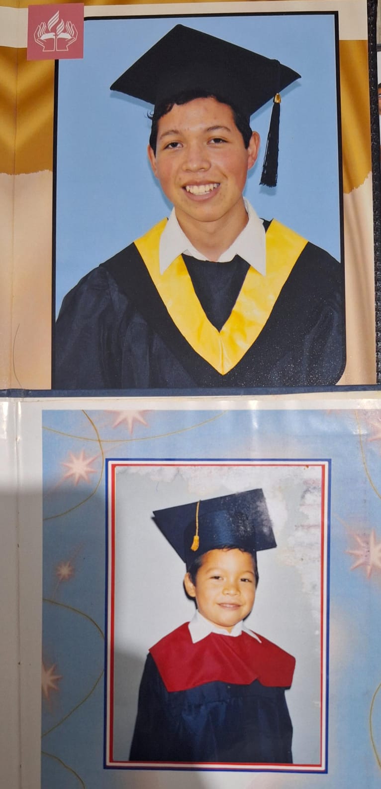 dave Object Detection Dataset and Pre-Trained Model by davedavedave