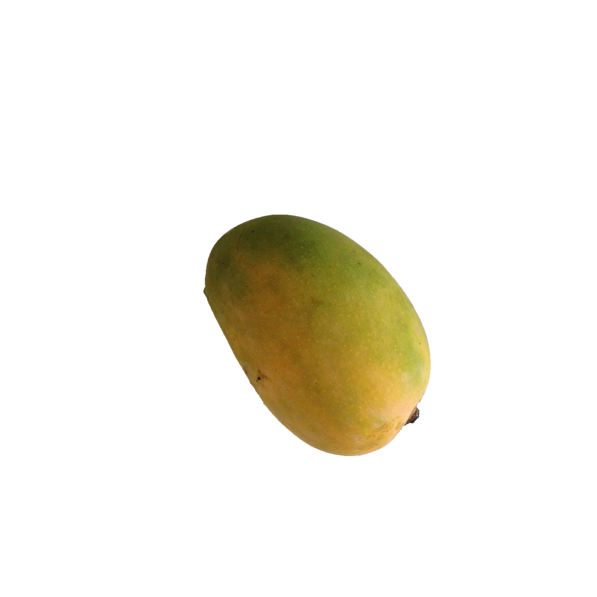 Ml Sa Mango Object Detection Dataset And Pre Trained Model By Helina
