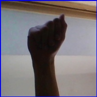 Hand Segmentation Instance Segmentation Dataset by Rmutsb