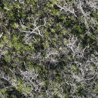 GISKernel (giskernel-9wuxp) - Roboflow Universe