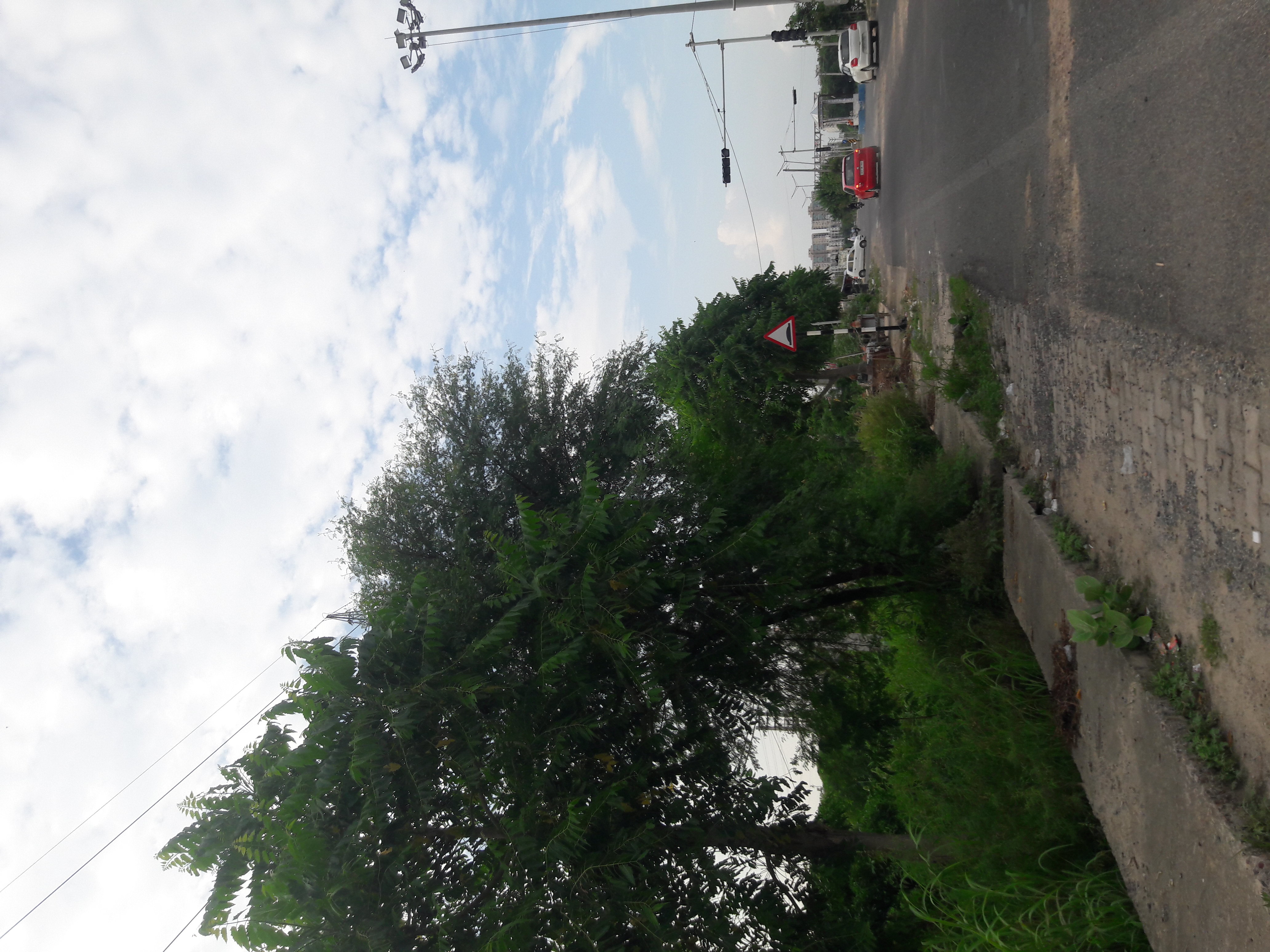 traffic sign2 Object Detection Model by trafficsigndetection