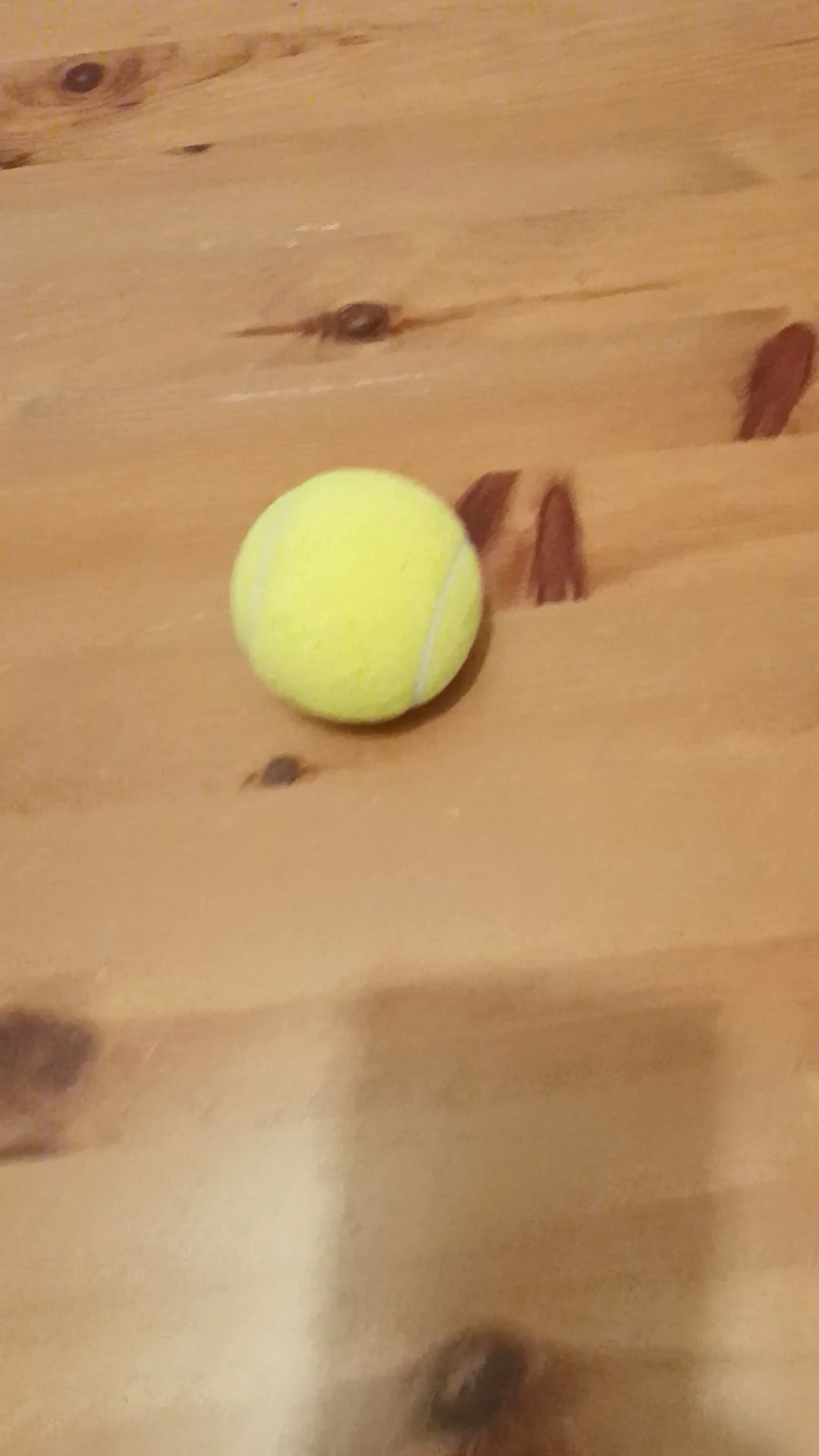 Perception ans AI_LAB 2 Object Detection Dataset by Perception and AI