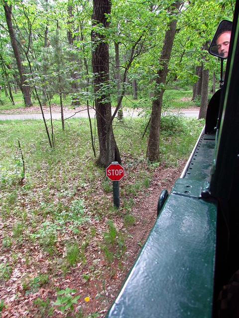 Convert Object Detection Dataset by PASCAL VOC TO COCO FORMAT