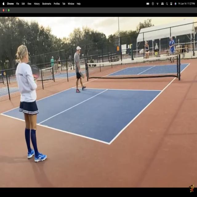 Pickleball Court Instance Segmentation Model by Hughs Workspace