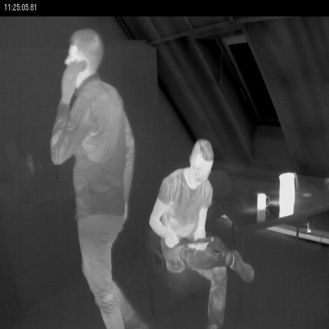 CCTV persons Object Detection Dataset by Mini Project 1