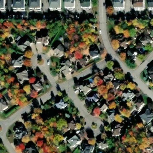 trees terrebonne Object Detection Dataset by test