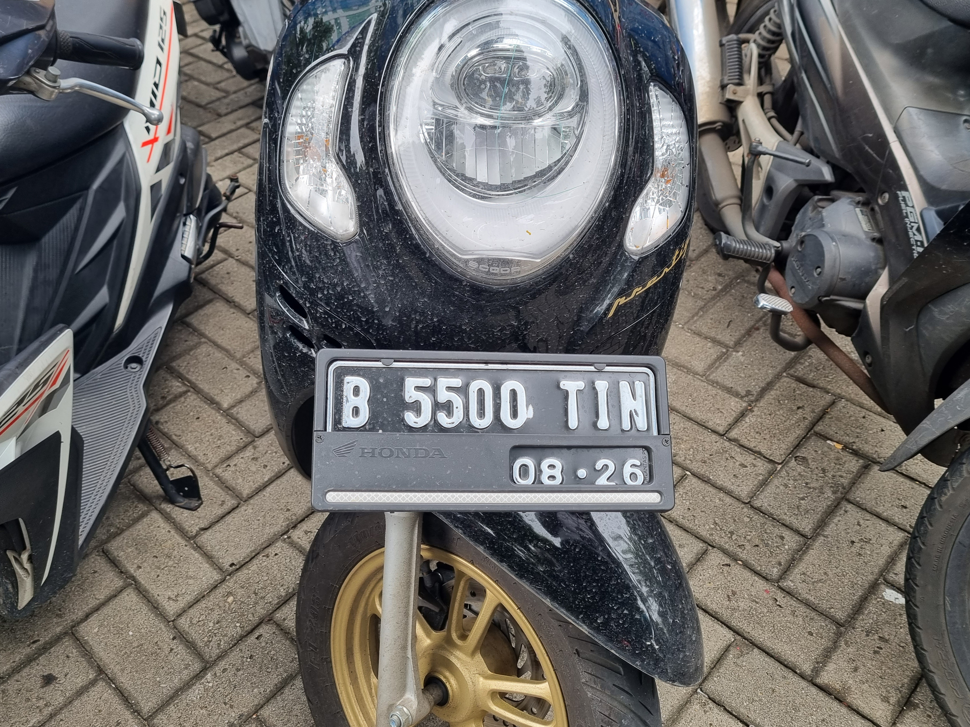 Motor vehicle license plate of bright condition Object Detection ...