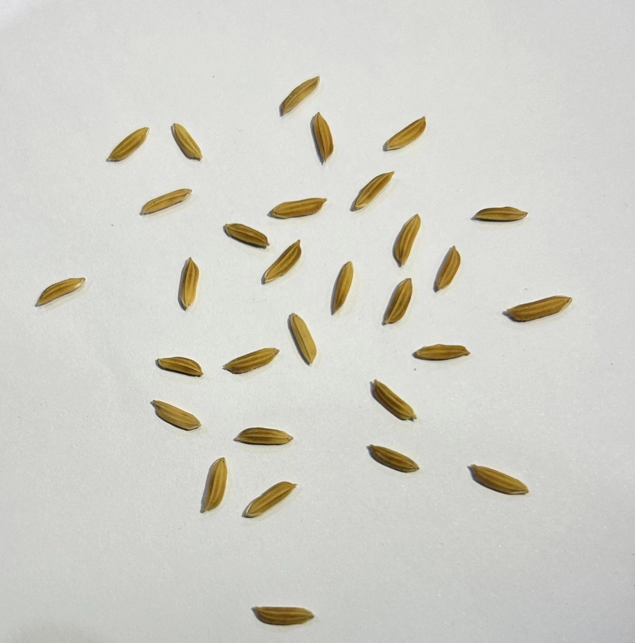 Binary Sanaa (binary-sanaa-5vhav) - Roboflow Universe