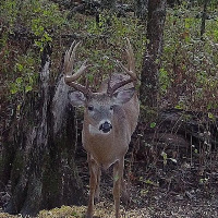 Michael Sapp (michael-sapp-n1ksl) - Roboflow Universe