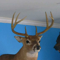 Michael Sapp (michael-sapp-n1ksl) - Roboflow Universe