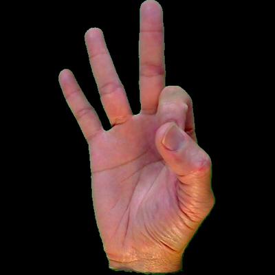 FSL WORDS Classification Dataset by FSL Healthcare Focused