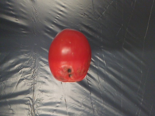 Tomato Instance Segmentation Dataset by vandana