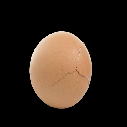 Egg crack detection Object Detection Dataset and Pre-Trained Model by 360digitmg