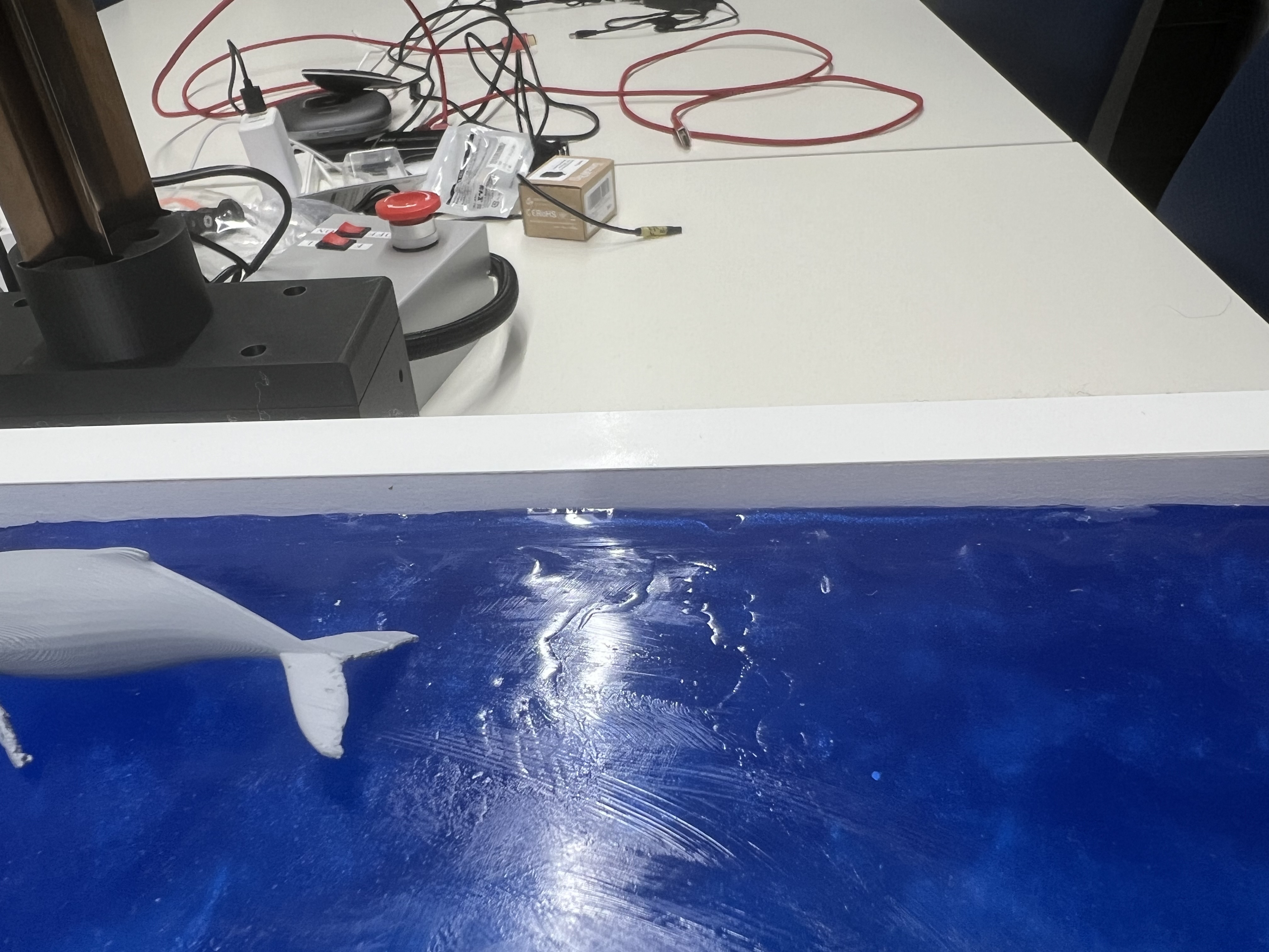 Whales Model Object Detection Dataset By Test