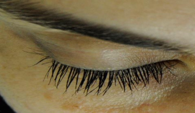 eyelash Object Detection Dataset by ws