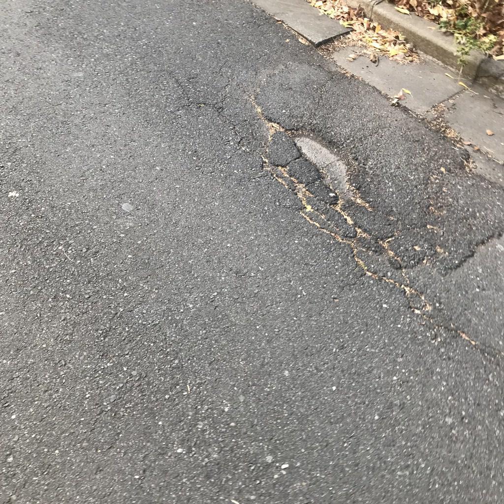 r5r Object Detection Dataset by pothole r5