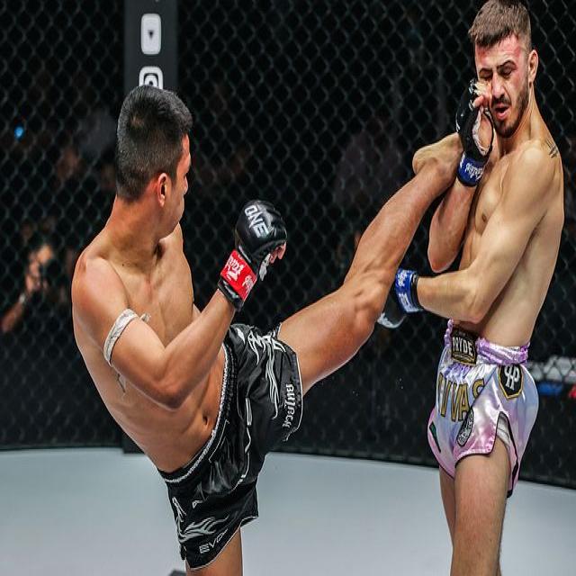 Punch and kick detection group Classification Model by GeorgeBrown