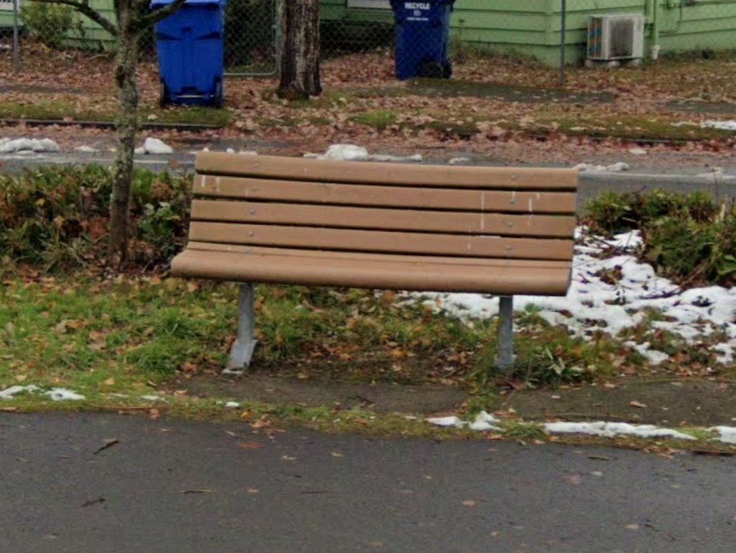 Seattle_bench Instance Segmentation Dataset by bilab