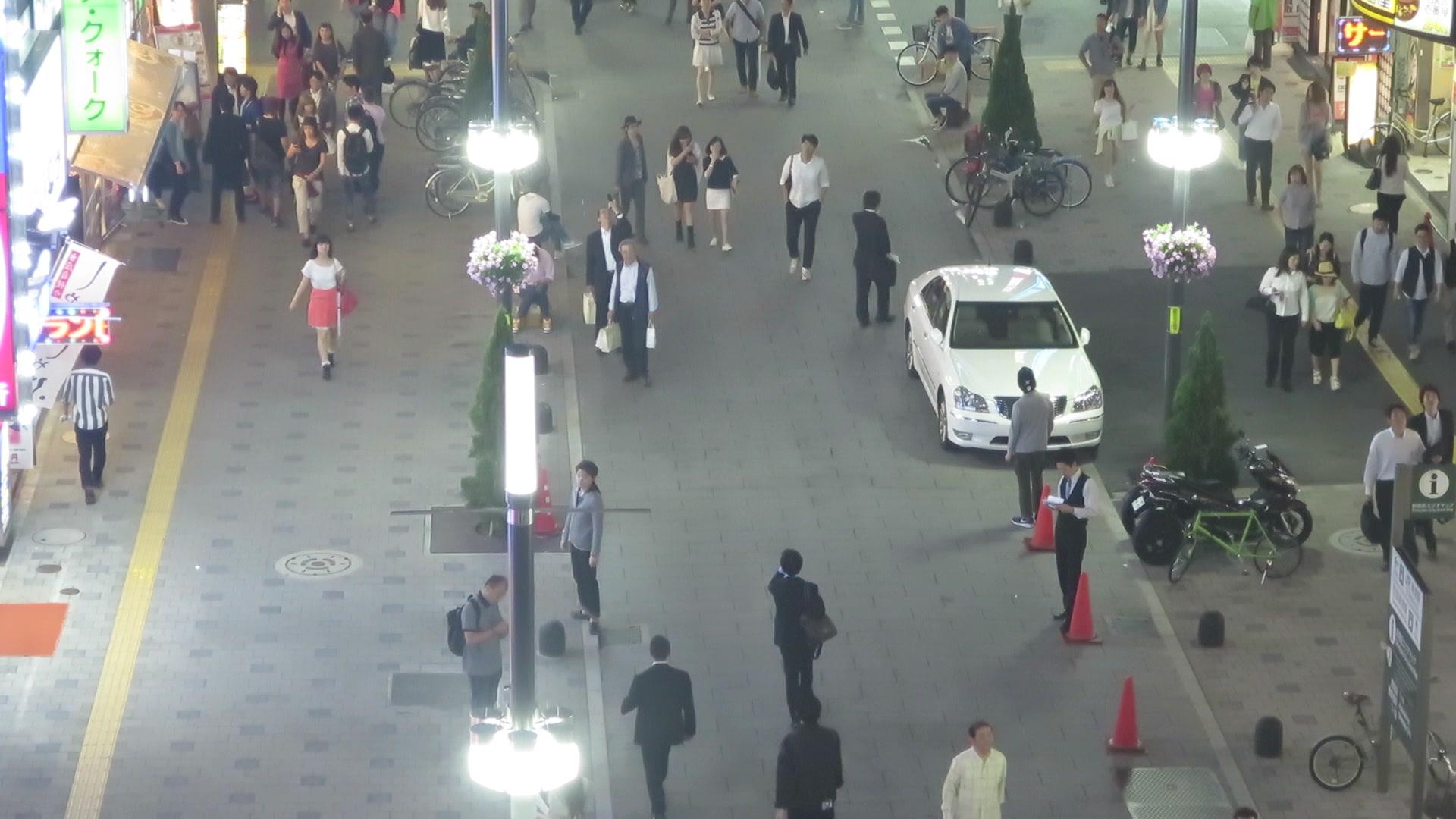 Filtered Pedestrian Object Detection Dataset by LDrago
