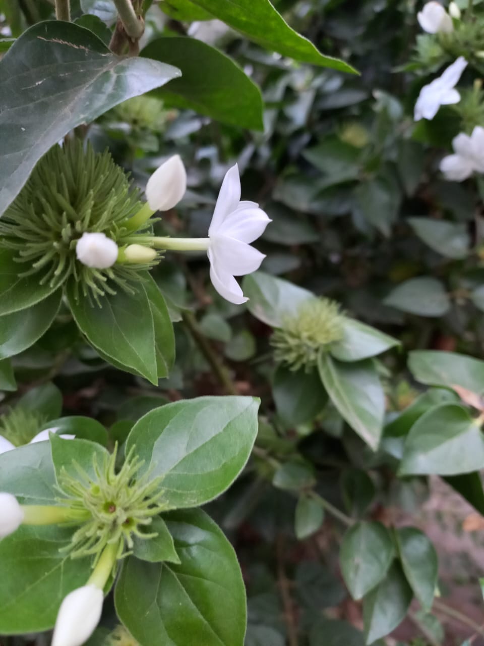 projects (projects-bqgwd) - Roboflow Universe