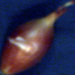 Onion Classification Classification Dataset by RoboSuite