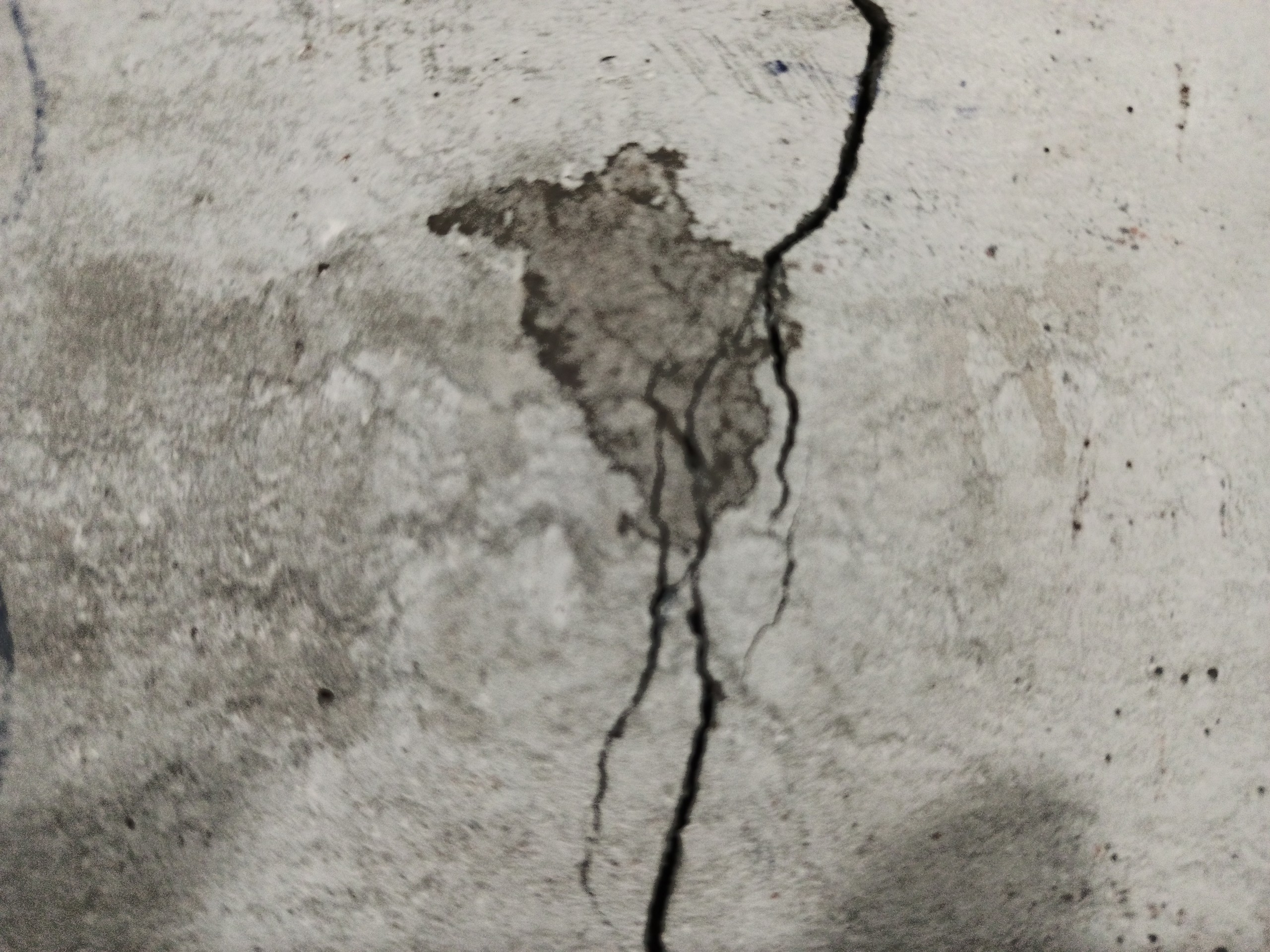 Walleye Object Detection Model by Detecting cracks on wall