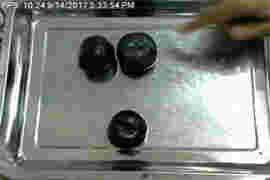 plum Object Detection Dataset by Stark Long