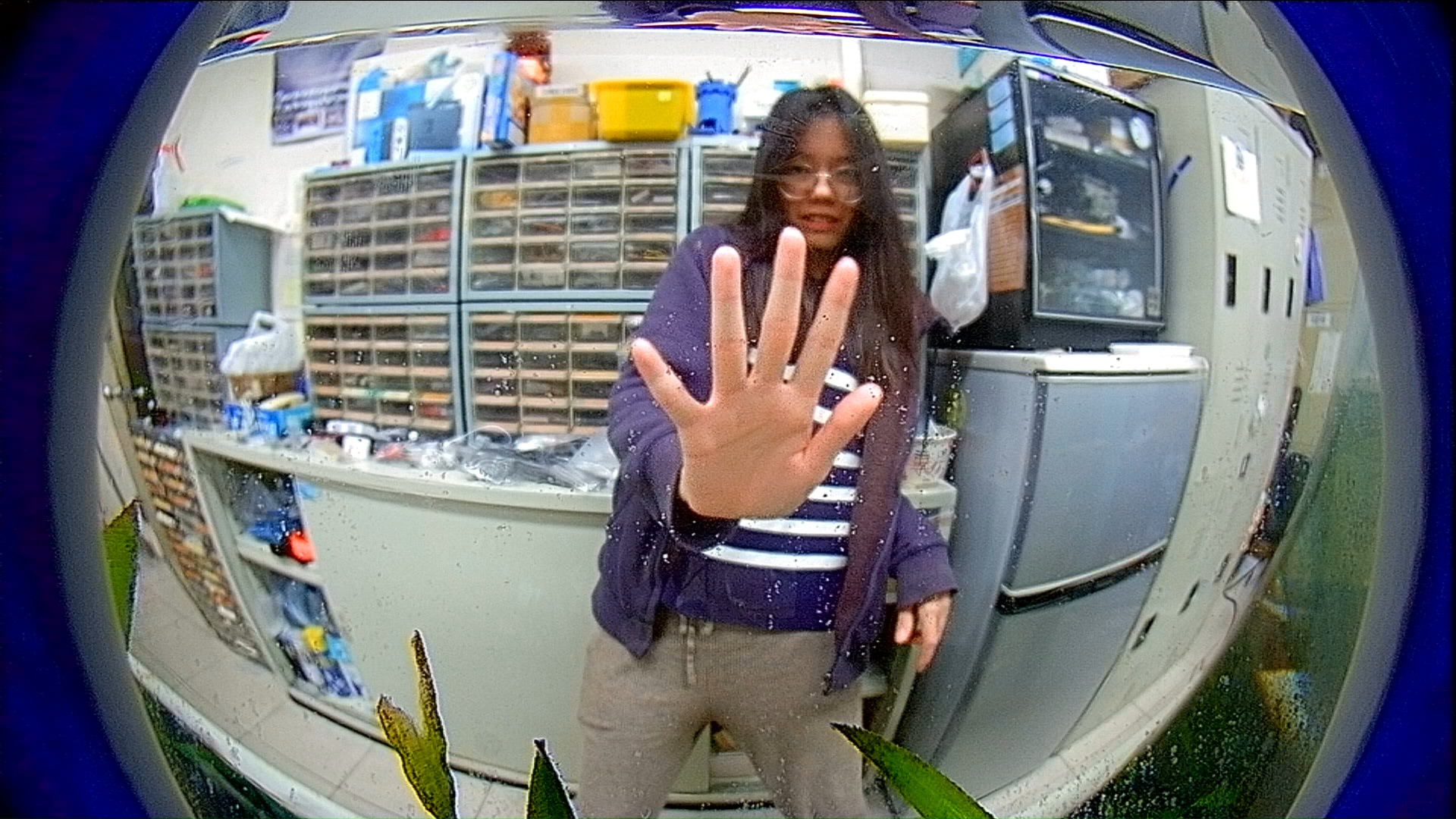 fish_eyes Object Detection Dataset by mantaRay