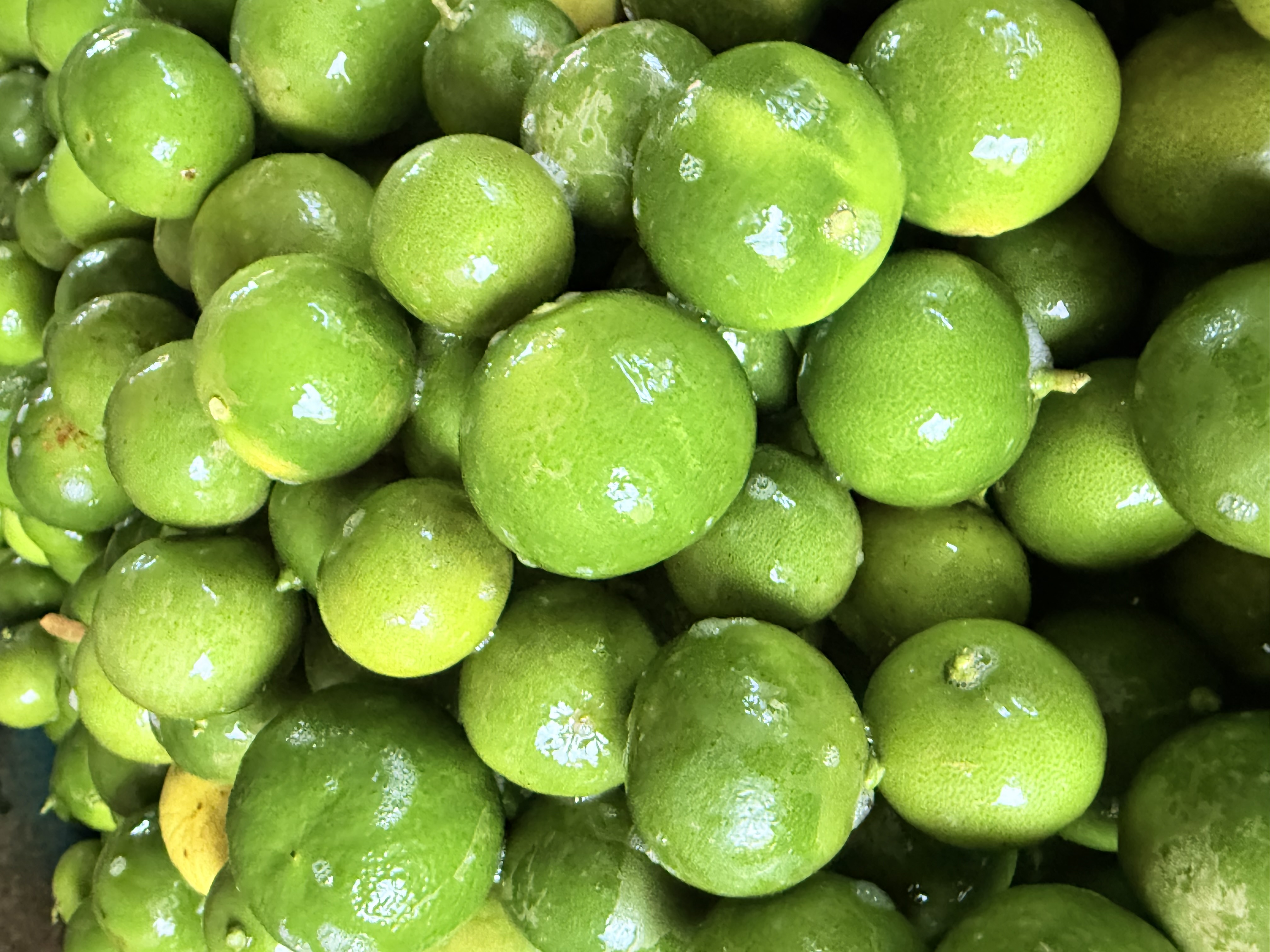 Lemon Object Detection Dataset by lemondetection